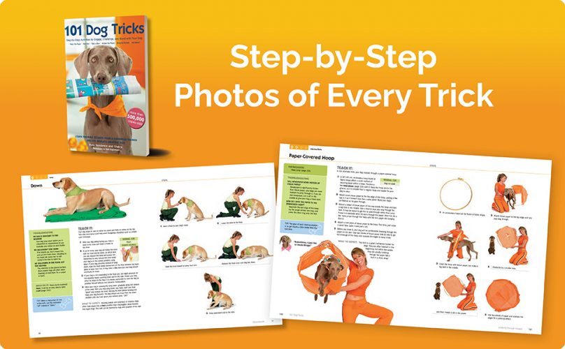 101 Dog Tricks – Do More With Your Dog!