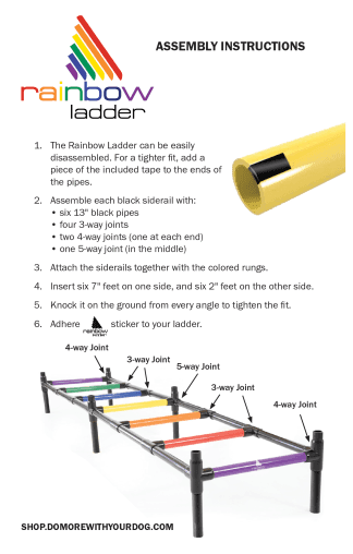 Rainbow Ladder 🌈 – Do More With Your Dog!