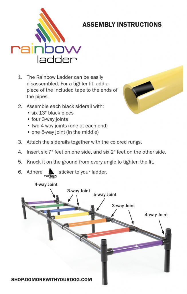 Rainbow Ladder 🌈 | Do More With Your Dog!