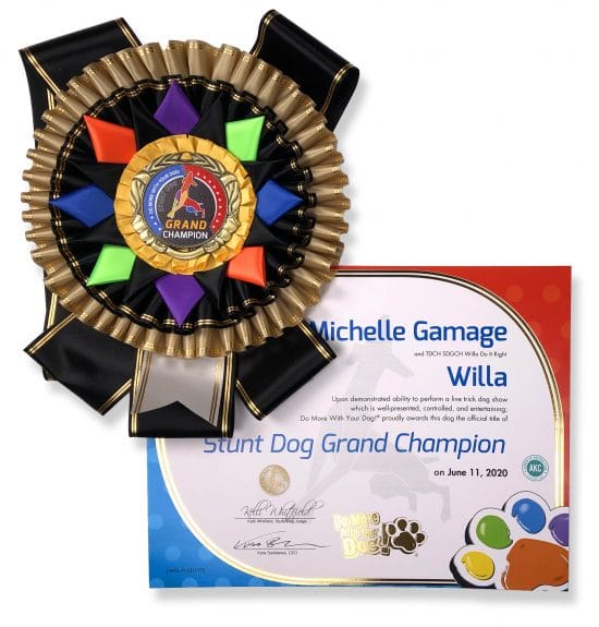 Stunt Dog Grand Champion (SDGCH) Rosette – Do More With Your Dog!