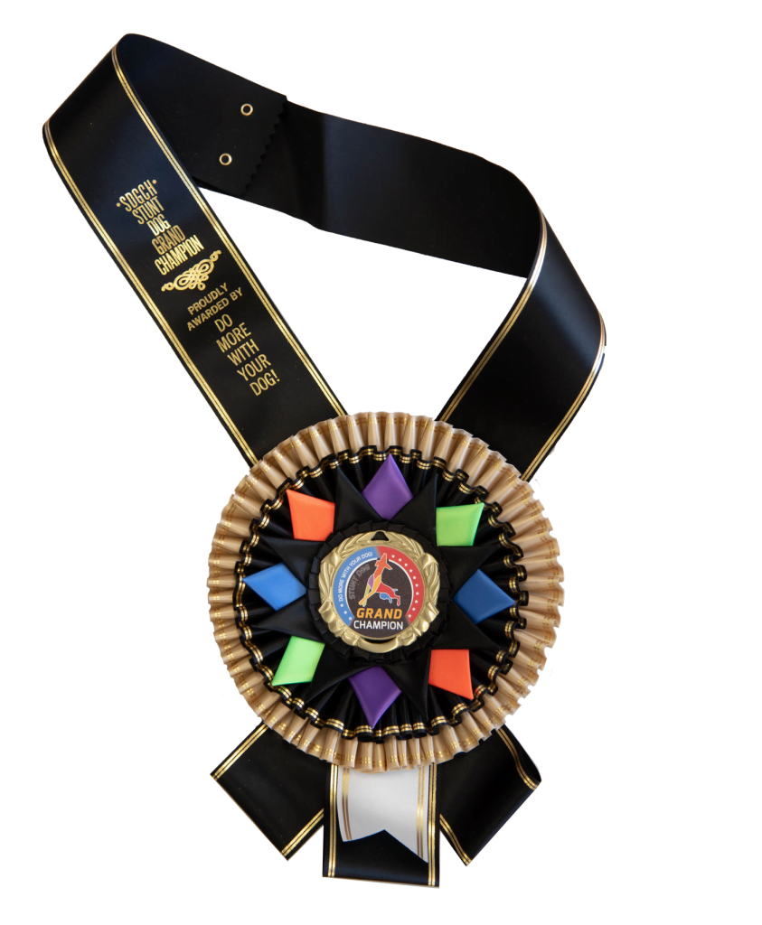 Stunt Dog Grand Champion (SDGCH) Rosette – Do More With Your Dog!