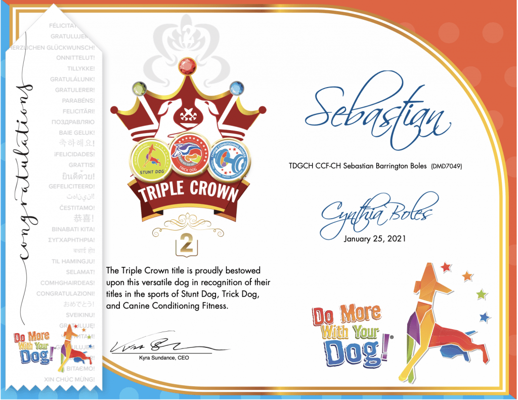 Triple Crown Title – Do More With Your Dog!