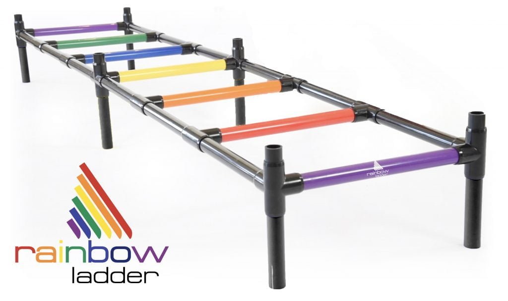 Rainbow Ladder 🌈 – Do More With Your Dog!