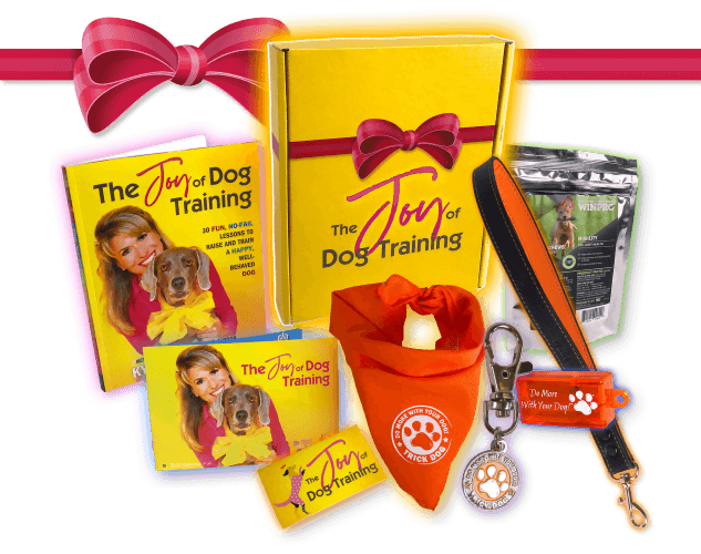 Box of Joy Gift Pack – Do More With Your Dog!