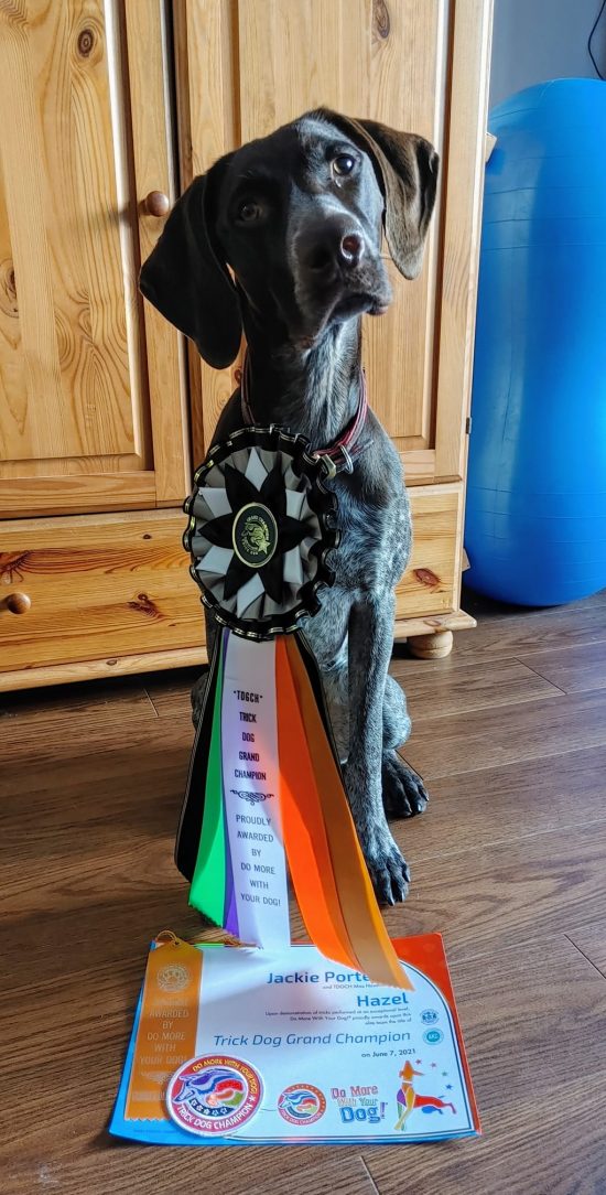 Trick Dog Grand Champion Title [TDGCH] – Do More With Your Dog!