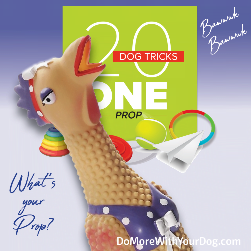20 Dog Tricks: One Prop – Do More With Your Dog!