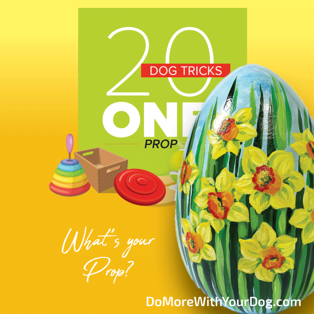 20 Dog Tricks: One Prop – Do More With Your Dog!
