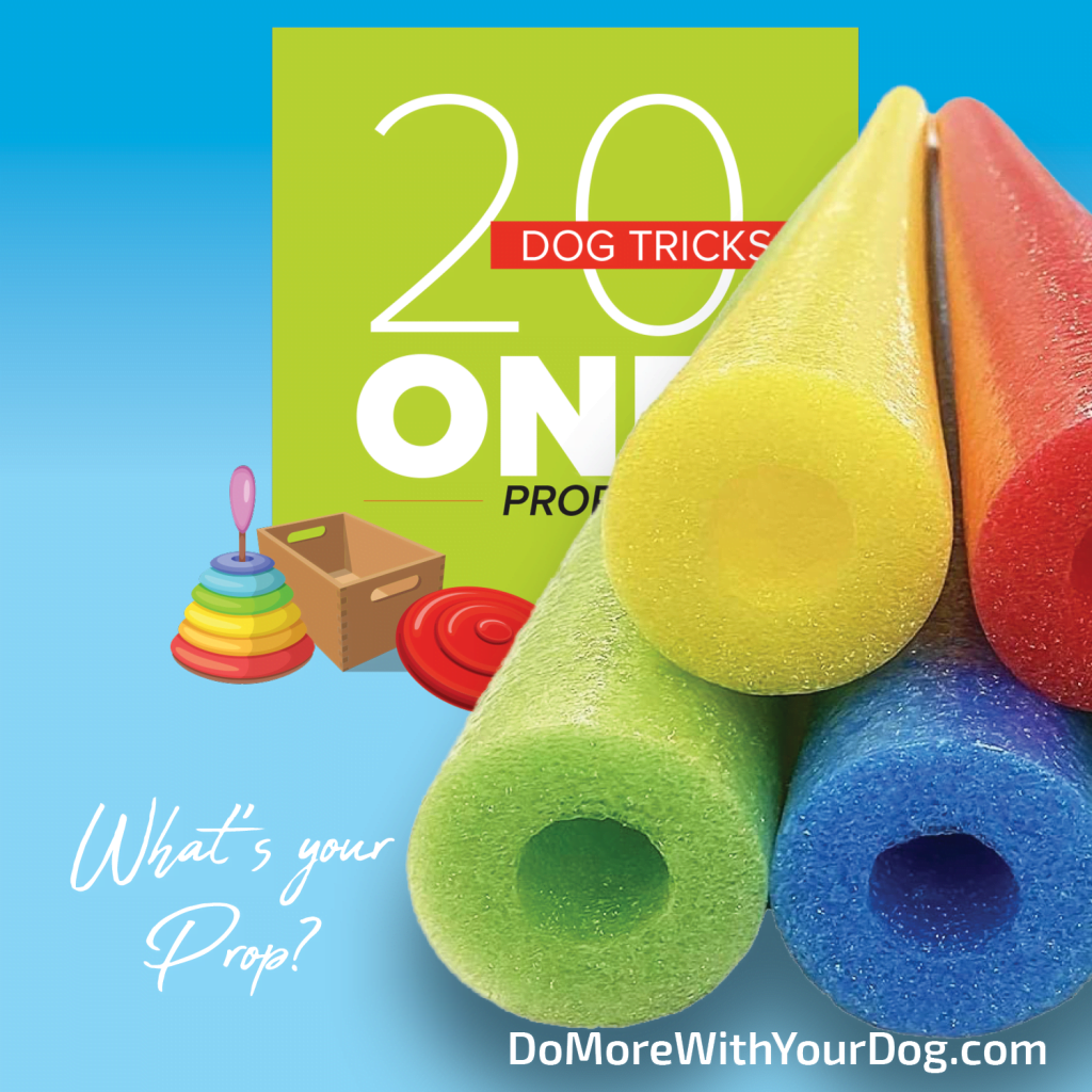 20 Dog Tricks: One Prop – Do More With Your Dog!