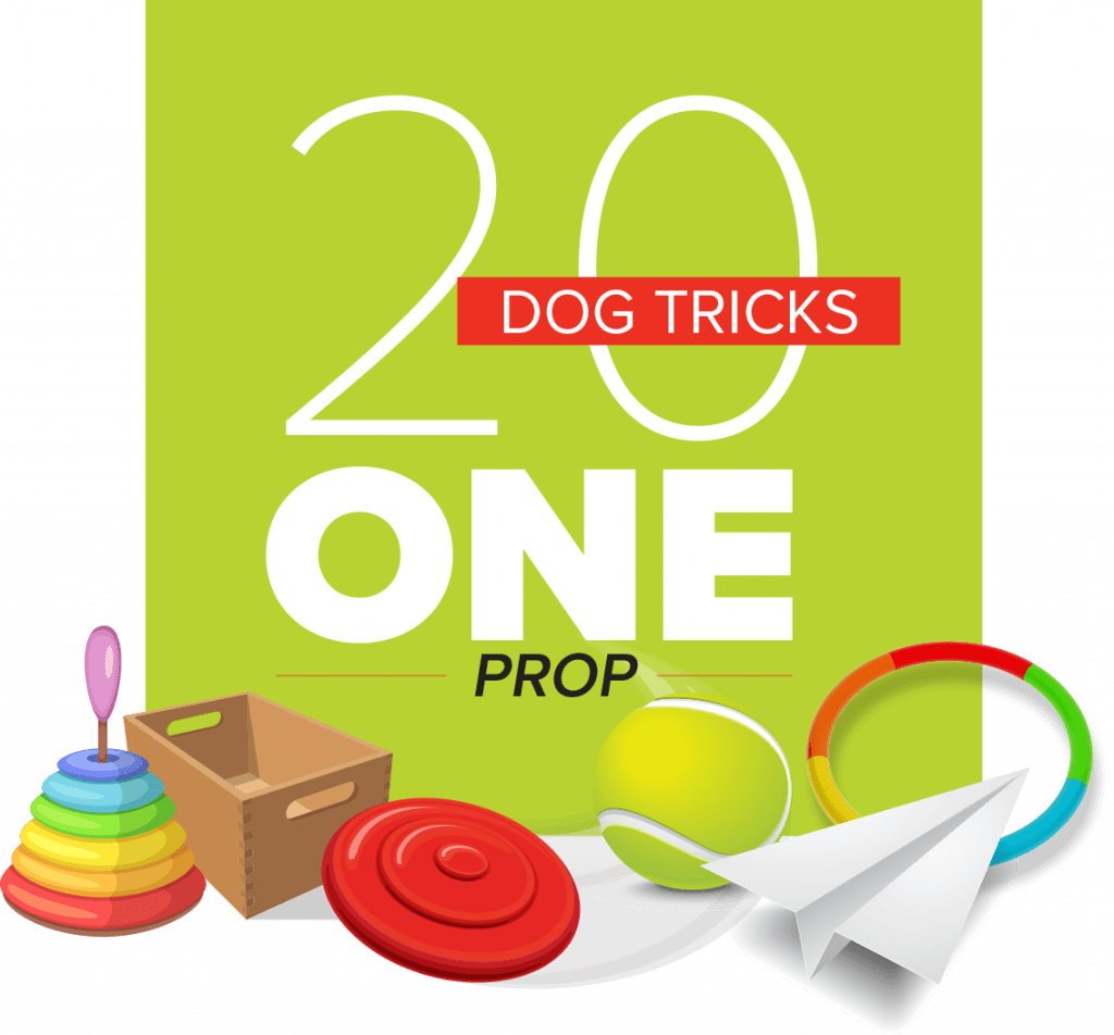 20 Dog Tricks: One Prop – Do More With Your Dog!