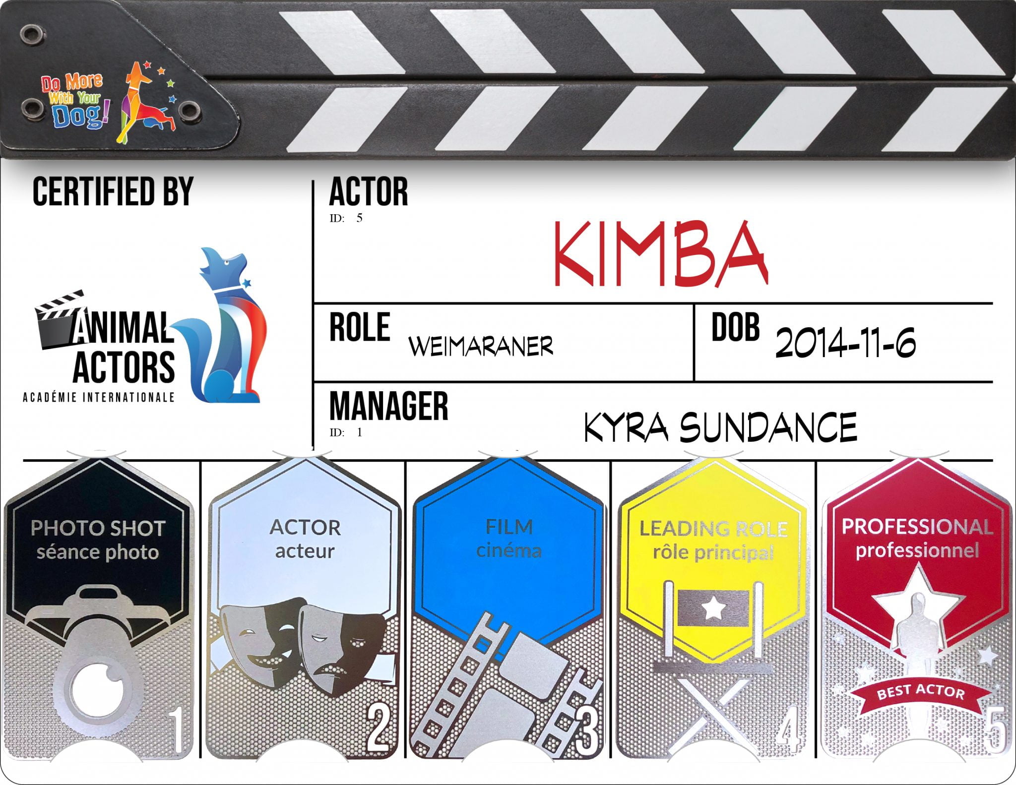 🎬Animal Actor Certification – Do More With Your Dog!