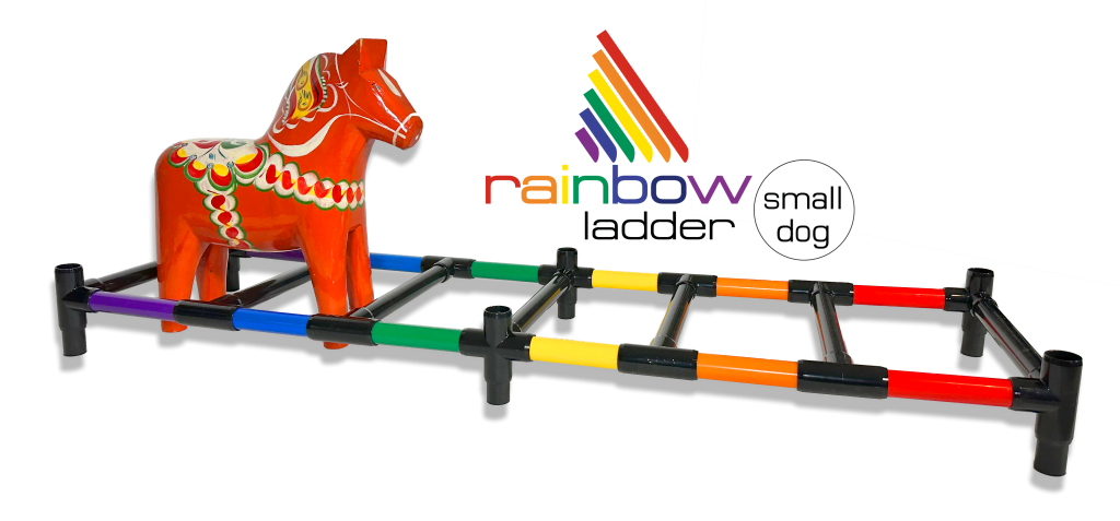 Rainbow Ladder 🌈 – Do More With Your Dog!