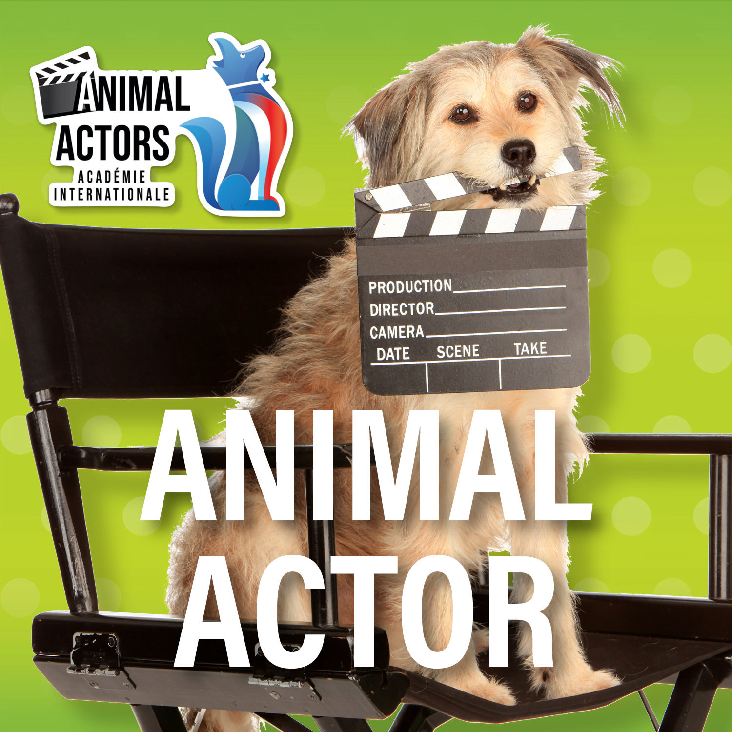 Animal Actors Registry – Do More With Your Dog!