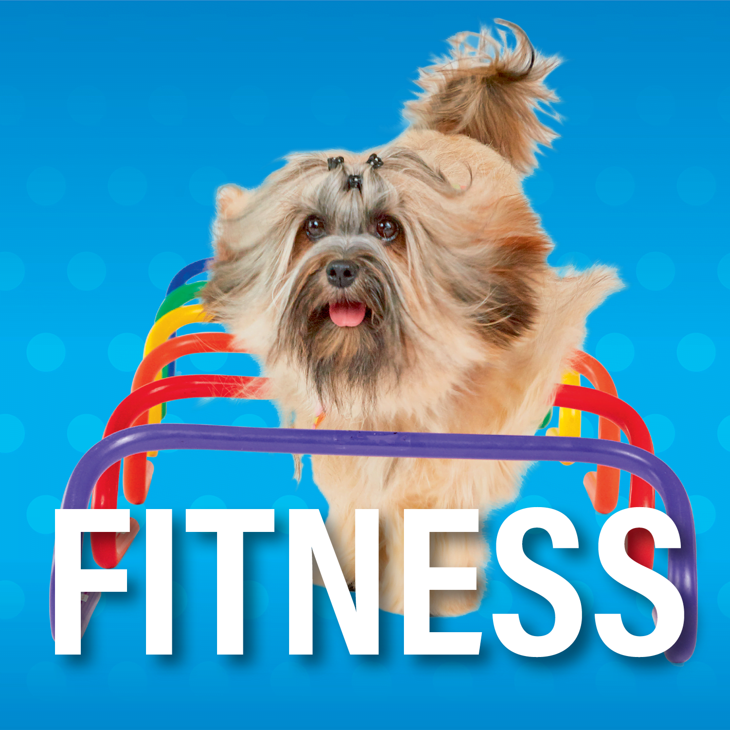 Canine Fitness Merchandise – Do More With Your Dog!