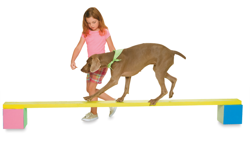 Balance Beam Title (Pentathlon Series) – Do More With Your Dog!