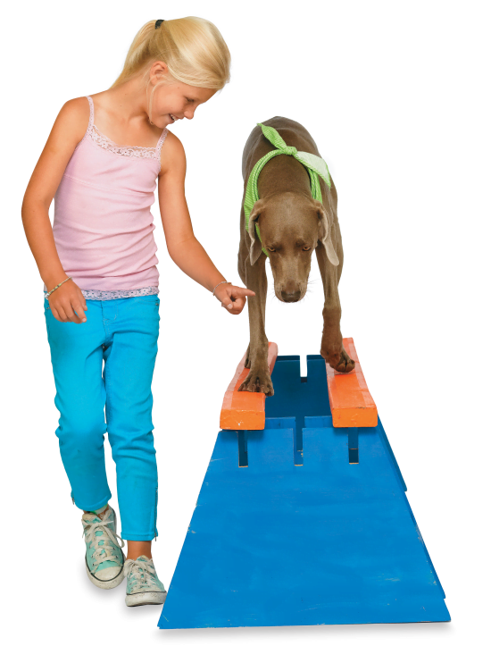 Balance Beam Title (Pentathlon Series) – Do More With Your Dog!