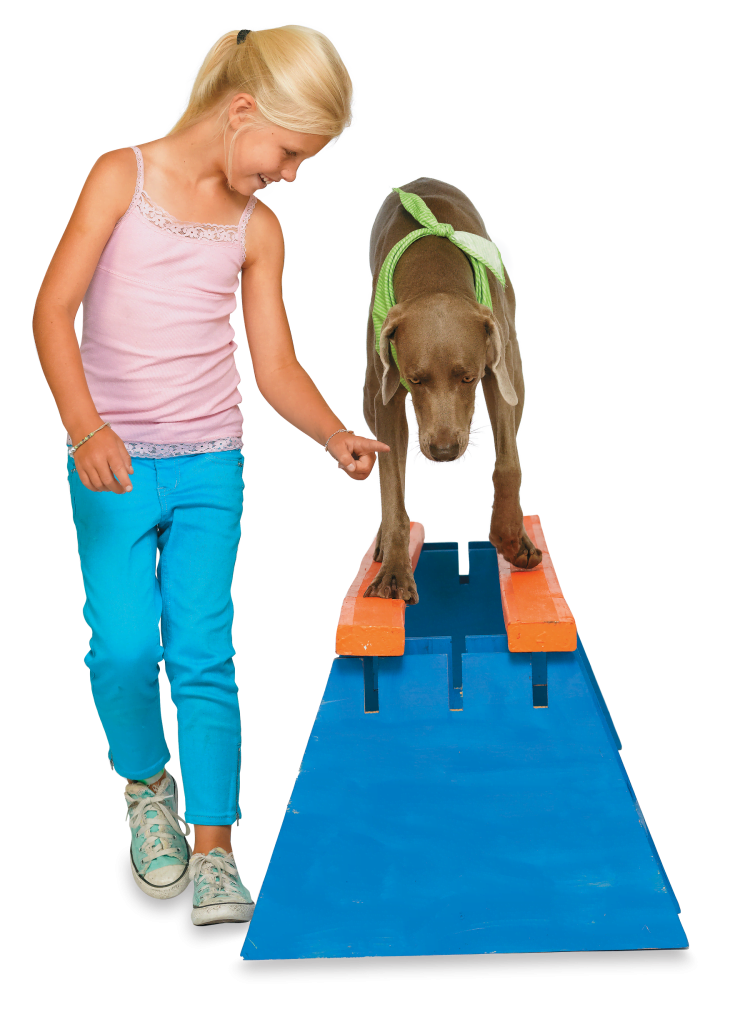 Balance Beam Title (Pentathlon Series) – Do More With Your Dog!