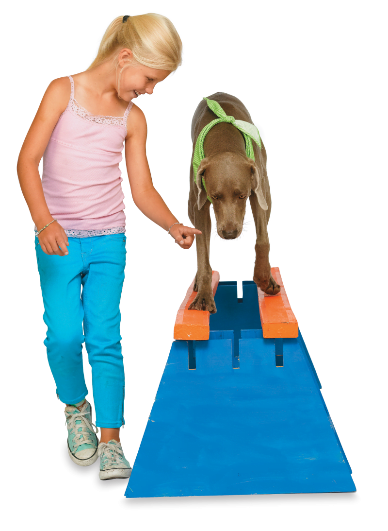 Balance Beam Title (Pentathlon Series) – Do More With Your Dog!